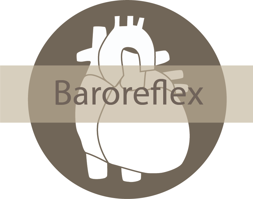 Baroreceptor Sensitivity (BRS)