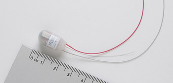 The DSI Monitor Newsletter